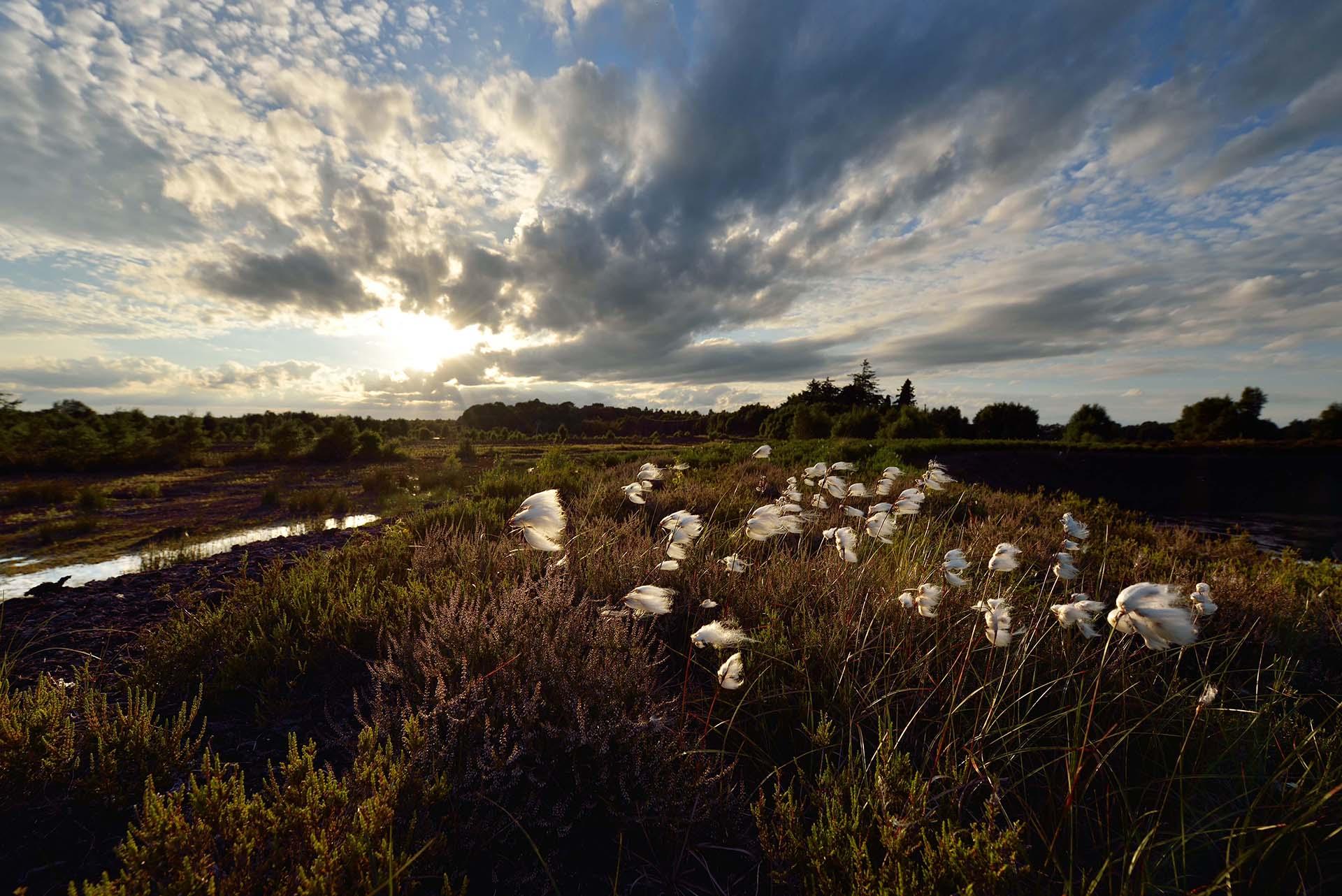 Gems of County Kildare - a heritage tour in Ireland